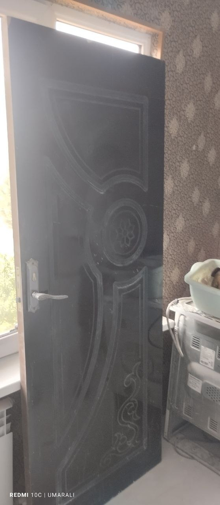 Двери железная и межкомнатные.