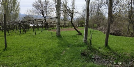 Дала ховли учун ер участкаси