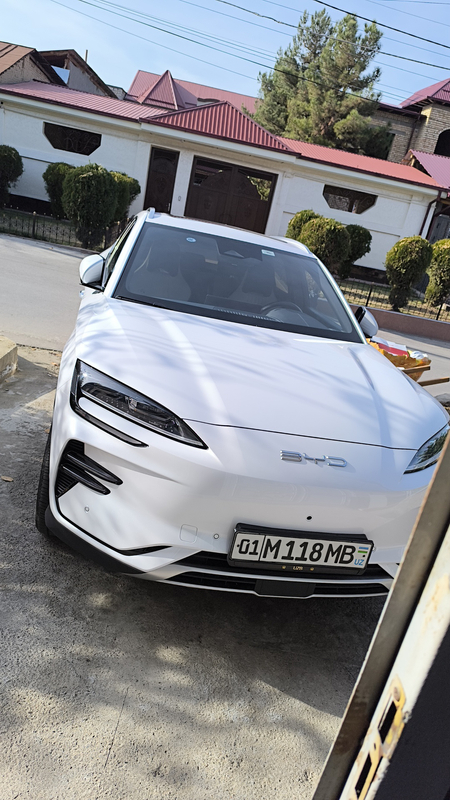 BYD chempion 2023