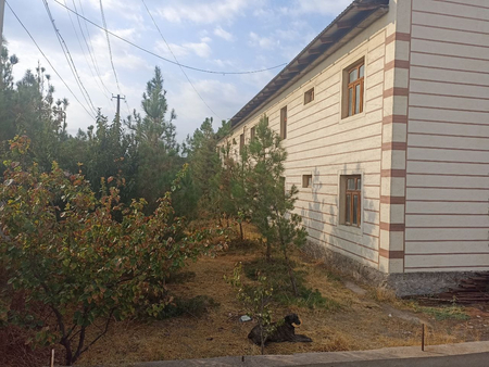 Тойтепа, Нуравшон квартира