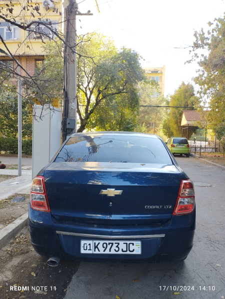 Cobalt some kinda blue 2023 texpasport, 2024 kuzov.