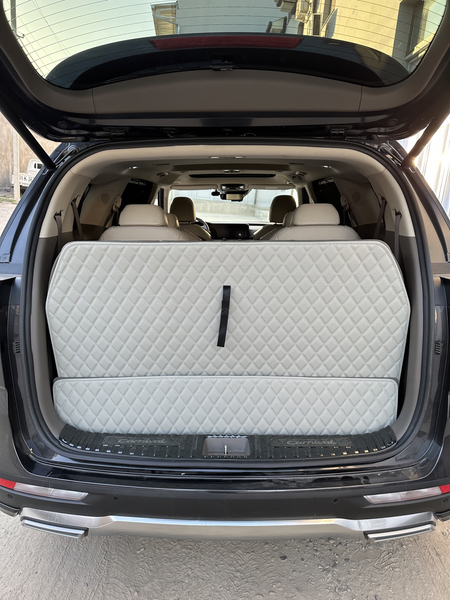 9D polik / коврики для Kia Carnival