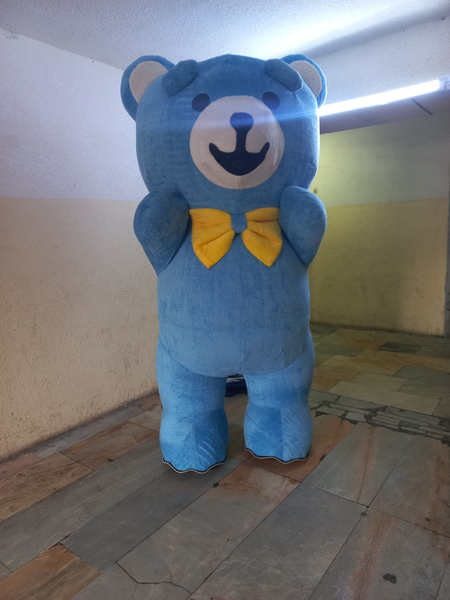 Ayiqlar xizmati Teddy_shou1