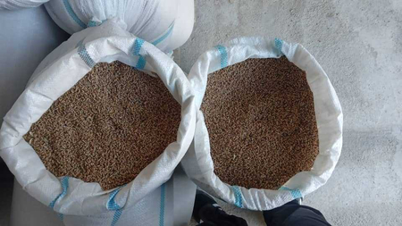 Бугдой биринчи сорт  сотилади, 4500 сумдан. Сурхондаре, Сариосиё.
