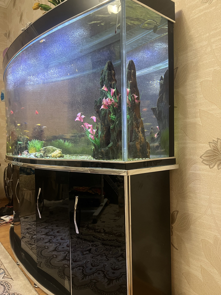 Akvarium 500 litr komplekt