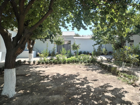 Xasanbohda yer sotiladi