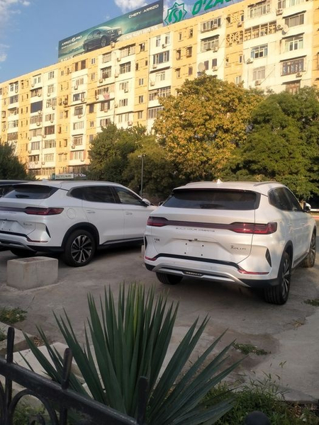 BYD. CHimpyon  фақат варяантга