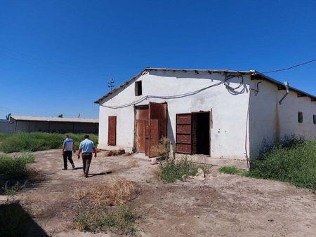 Yangibozor tumanda chorvachilik binosi bolib tolash asosida sotilmoqda