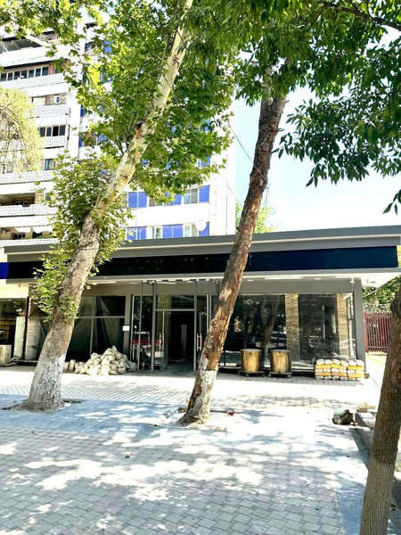 Ц-1. Евронежилое. ор: Бибигон. Фасад 40 метр. 440м²
