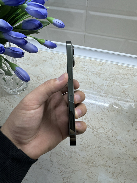 Iphone 13 Pro 256 GB Ideal