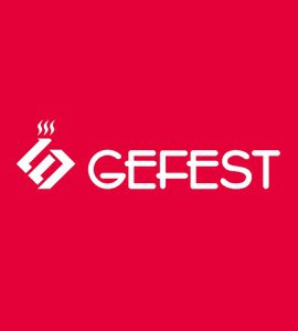 Компактная газовая плита от компании GEFEST.  Габариты: (50×57×85)