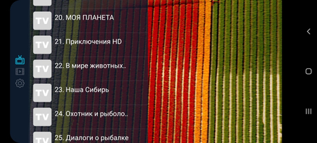 бесплатно   rus kanallar prashivka qlish hizmati