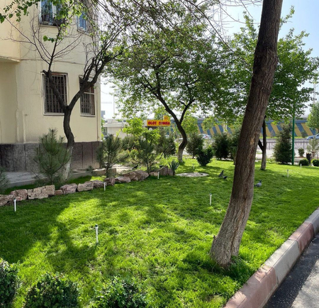 Gazon. Archa. Gullar. Mevali daraxtlar