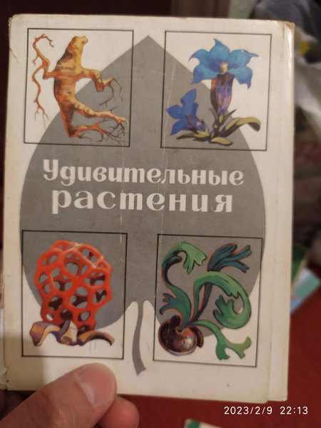 Удивительные растения. 32 открытки.