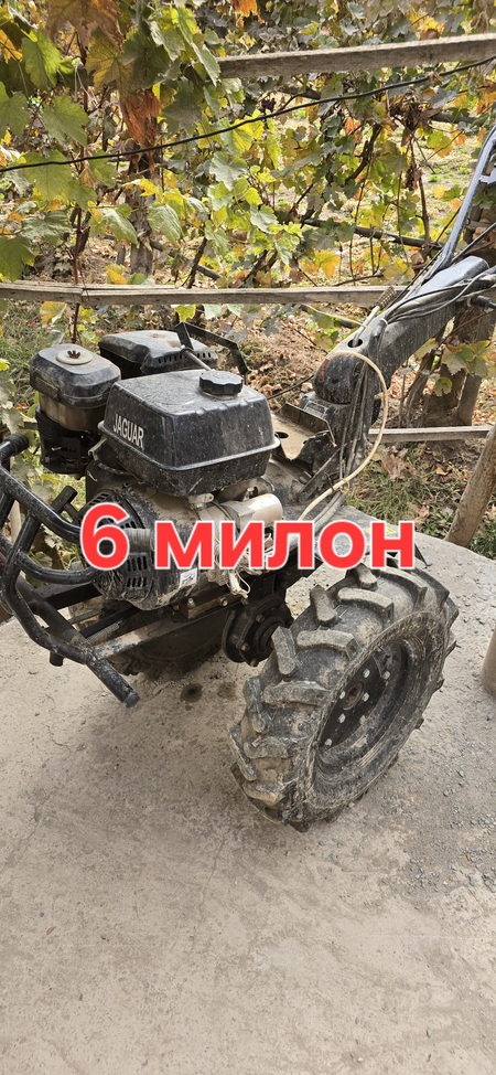 Дарвозо мошин гиради