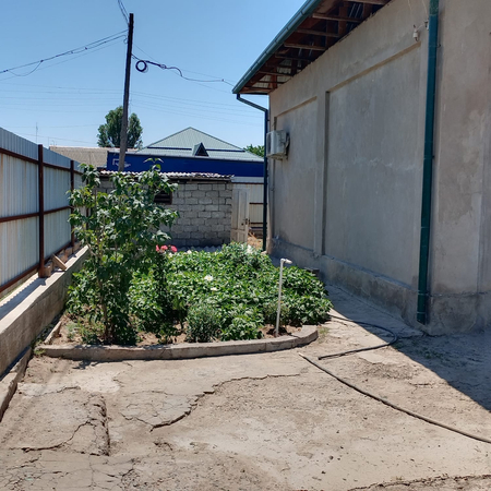 Продаёться дом в Сырдарье