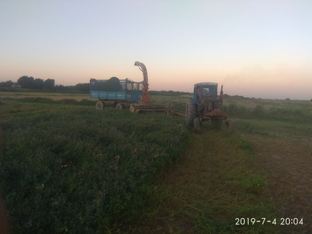 TRAKTOR T40 holati yaxshi