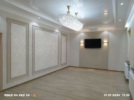 Профессиональный ремонт