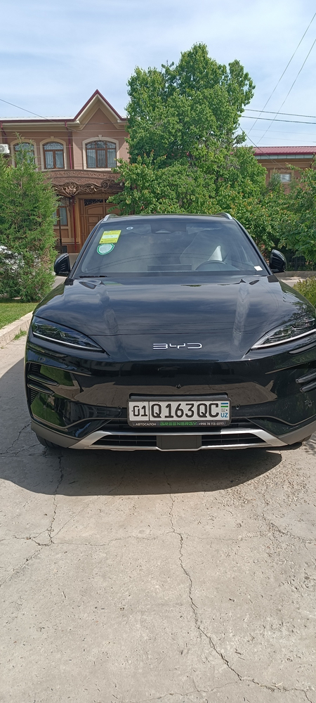 Byd Chepion 605 km без пробег
