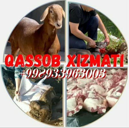 Қассоб Qassob ҳизмати.