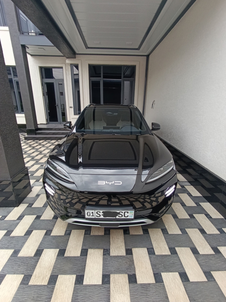 BYD Chempion sotiladi.