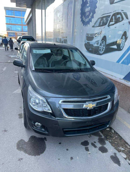 cobalt arend s vikipka halol nasiyga