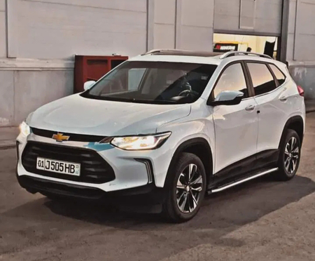 Автомобильные пороги на jetour, BYD,TRECER,TREVERS CHERRY