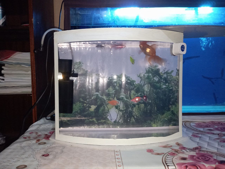 Akvarium bilan baliqlarniyam sotaman