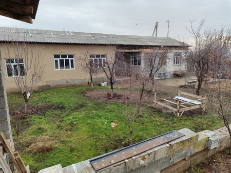 Chinoz tumani Isloxot MFY da xovli sotiladi