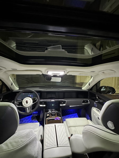 Hongqi e-hs9 2021 full