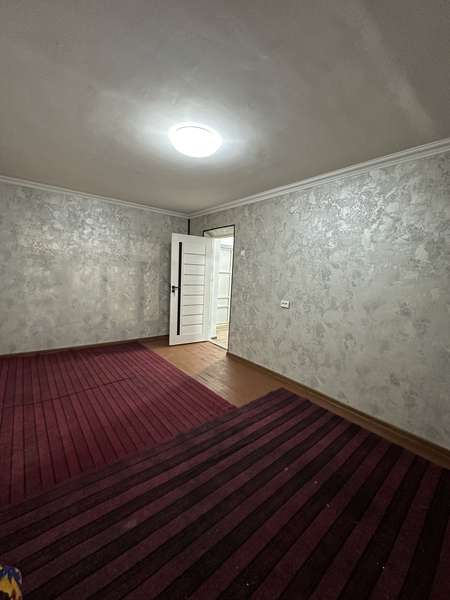 Еко базар боз 2 кафе тараканчик