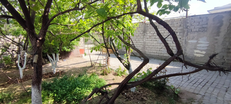 Hovli sotiladi Продаётся учвсток