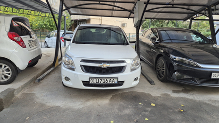 Cobalt LT 2019 oq