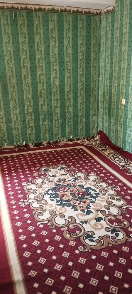 Qizlarga kvartira