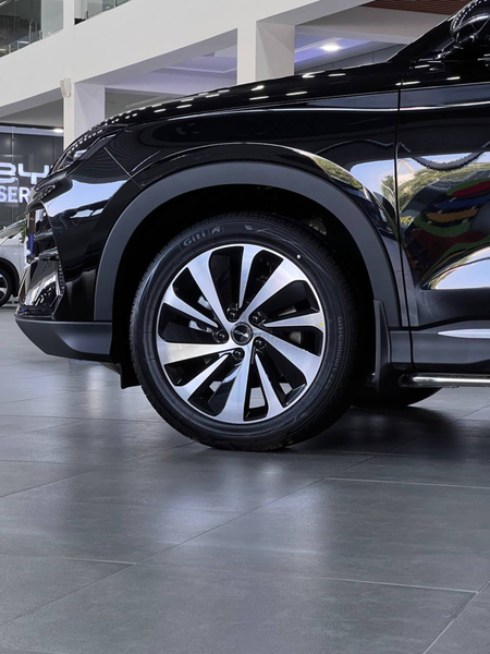 BYD Song Plus DM-i Champion 110km Flagship