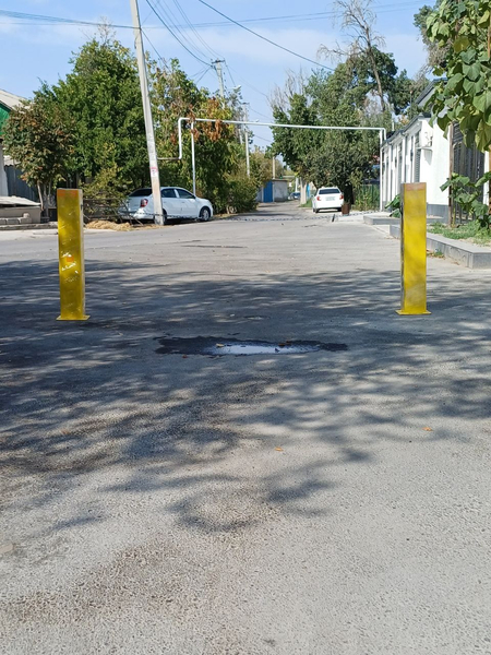 Шлогбаум цепной.