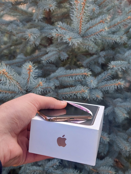 Iphone xs max ideal