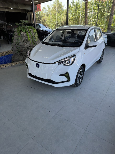Changan benben e-star