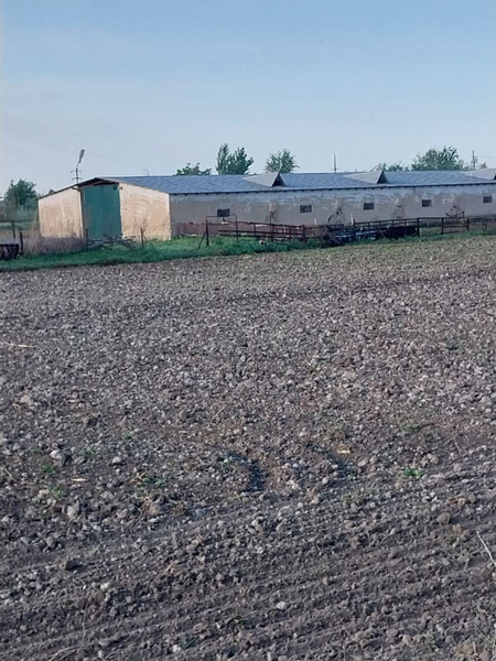 Тайёр ферма  сотилади