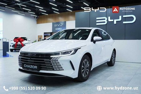 BYD CHAZOR (120 km Comfort)
