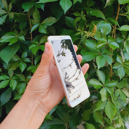 Redmi 5 karobkalik