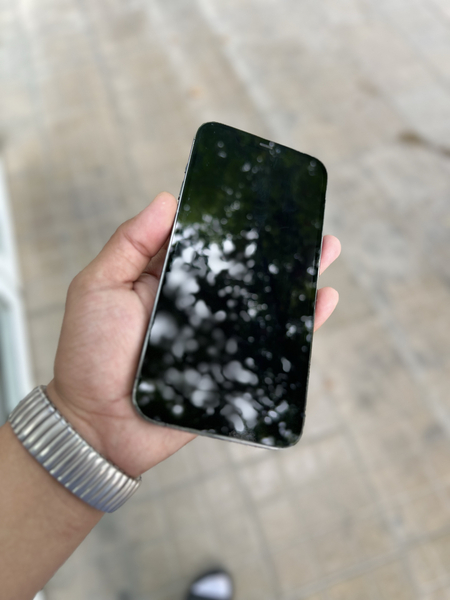 iPhone 12 Pro Max