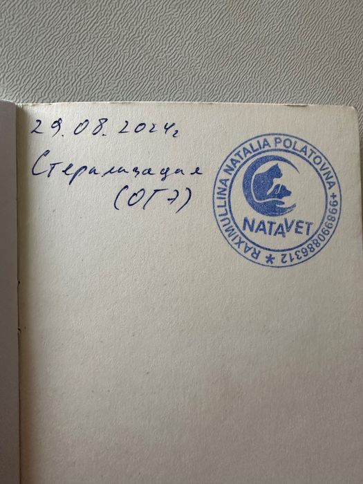 Кошка в добрые руки