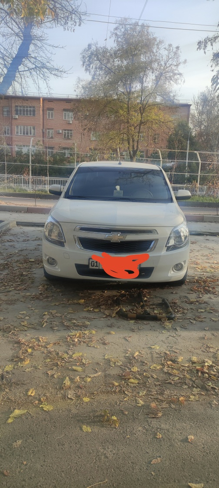 Kobalt kraskasi tozza
