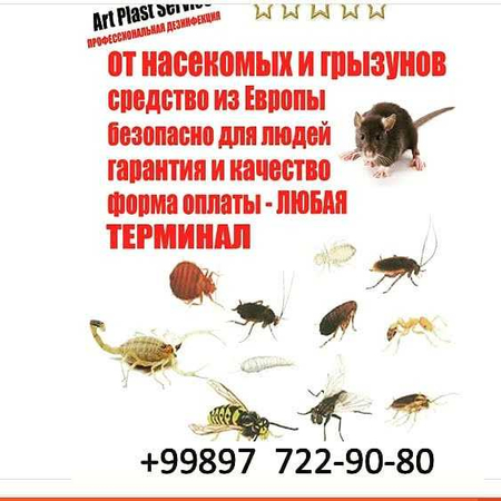 Дезинфекция хизмати