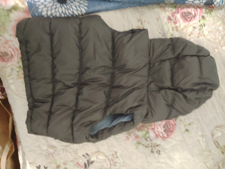 Жилетка Zara вьетнам