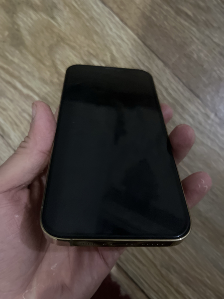 iphone 12 pro