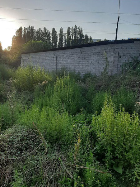 Ховли сотилади Бектемир туман Барданкул Кайтмас участок продолжается