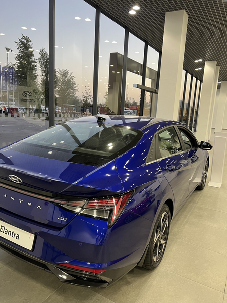 Hyundai Elantra palisad santafe tucson sonata zapchast