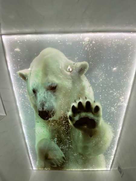 Натижние потолог